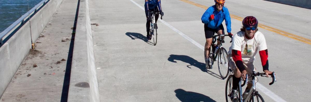 Take a Bike Tour, See Another Florida | VISIT FLORIDA