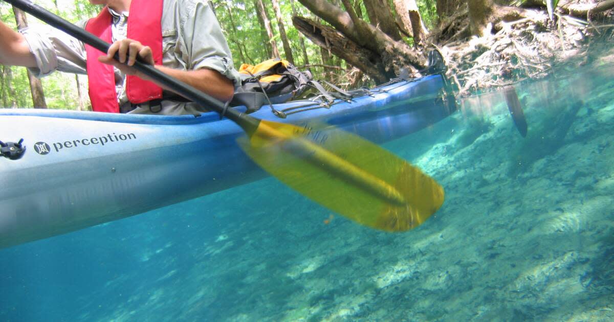 An Inside Look at the Chipola River of Northwest Florida