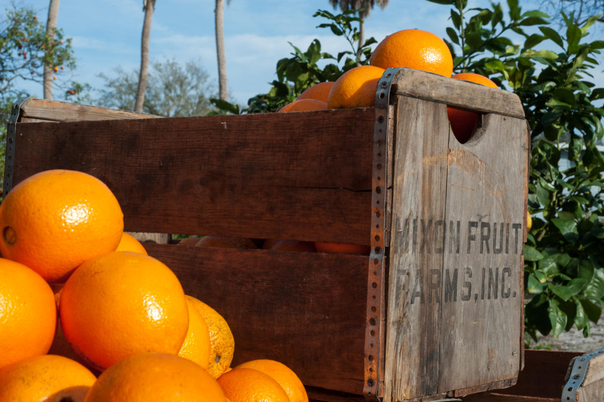The Charms of the Farms in Manatee County | VISIT FLORIDA