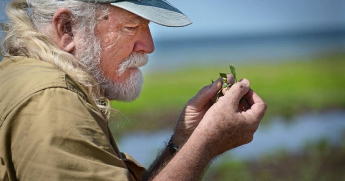 The Everglades: A Tour with Nature Guide Roger Hammer