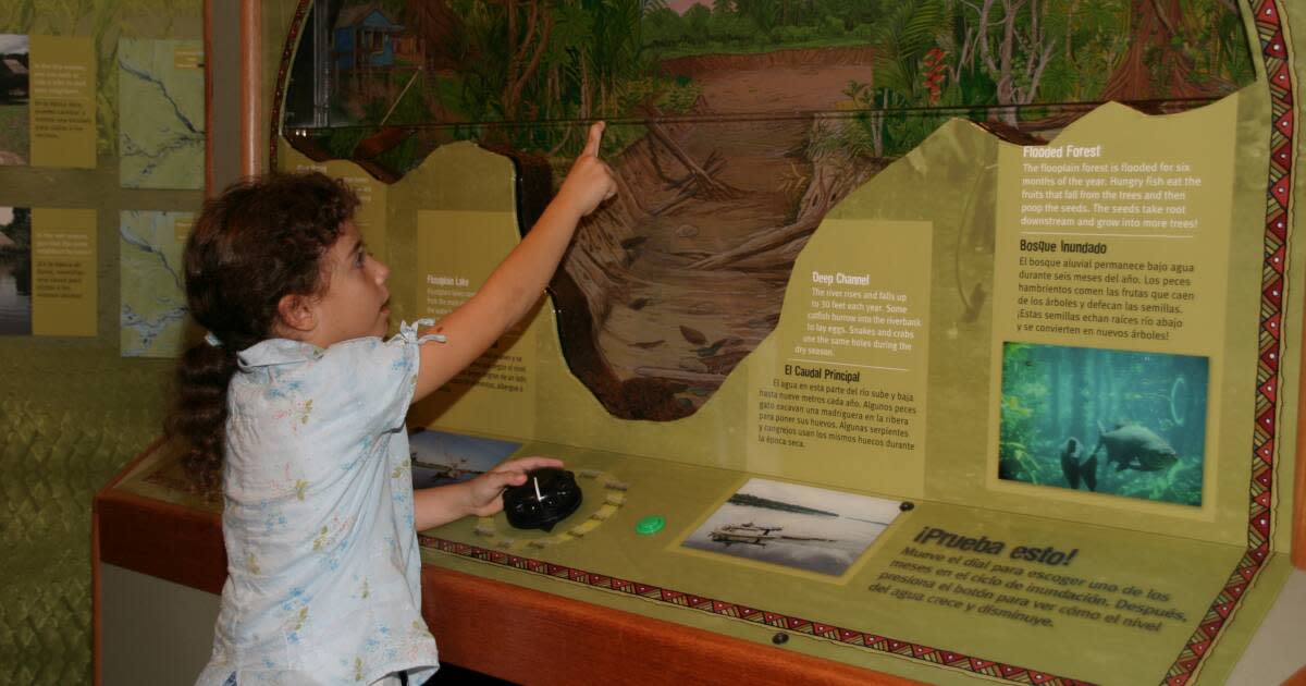 “Amazon Voyage” Returns to Frost Museum of Science