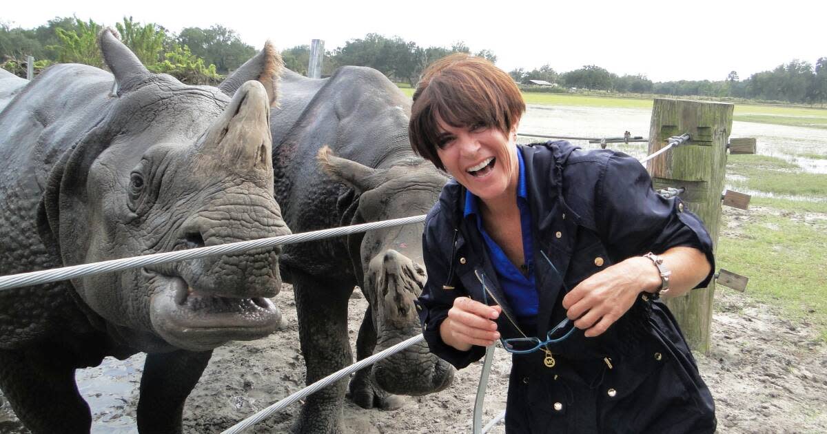 5 Reasons to Visit Giraffe Ranch in Dade City, Florida