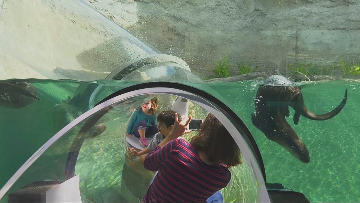 What to Do in Miami with the Kids | VISIT FLORIDA