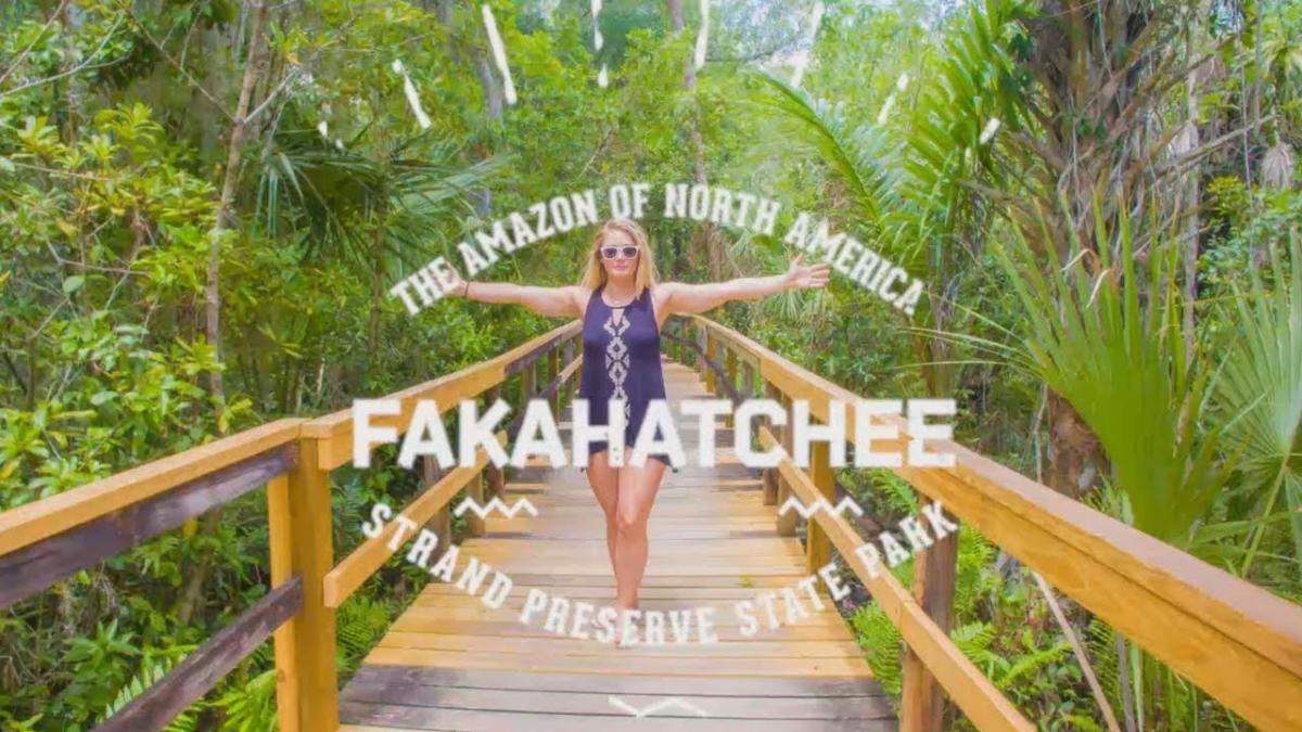 The Everglades: Fakahatchee Strand | VISIT FLORIDA