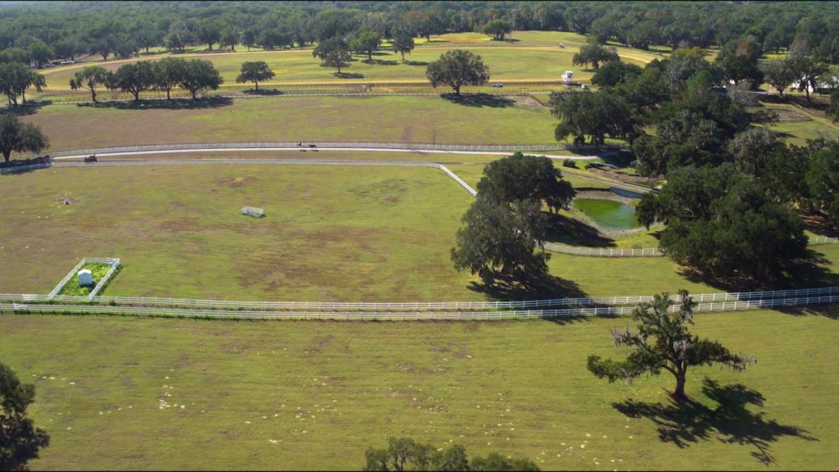 Tour Awe-Inspiring Ocala Horse Farms | VISIT FLORIDA