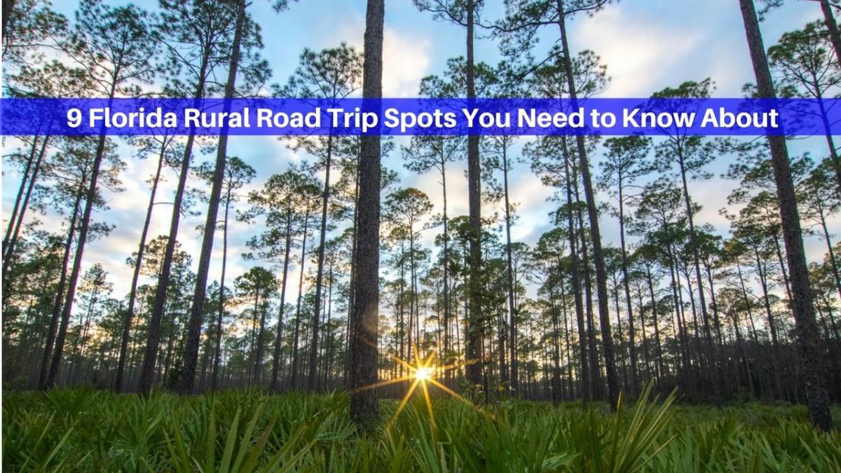 Tips for Visitors on Driving in Florida | VISIT FLORIDA