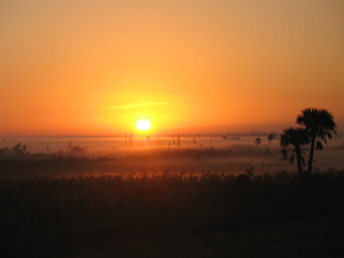 Mapa De Moore Haven, Florida Apartments For Rent In Moore Haven FL