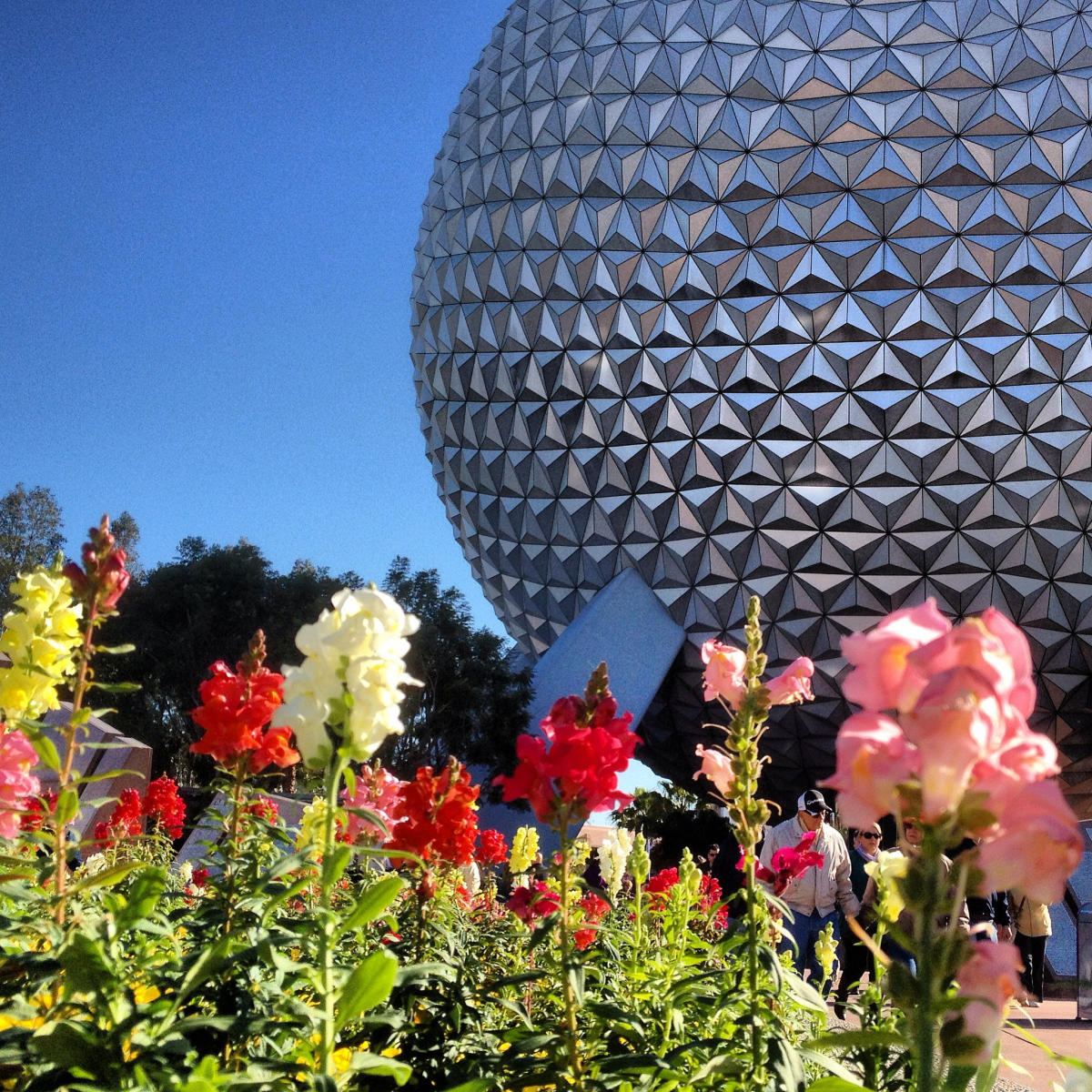 Eventos de primavera en la Florida