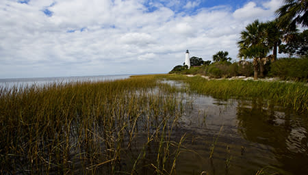 Nature in Florida - Guide to Exploring Nature & Wildlife in Florida