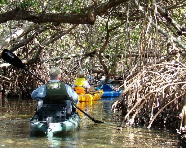 Accessible Florida Kayaking for Vision-Impaired Travelers