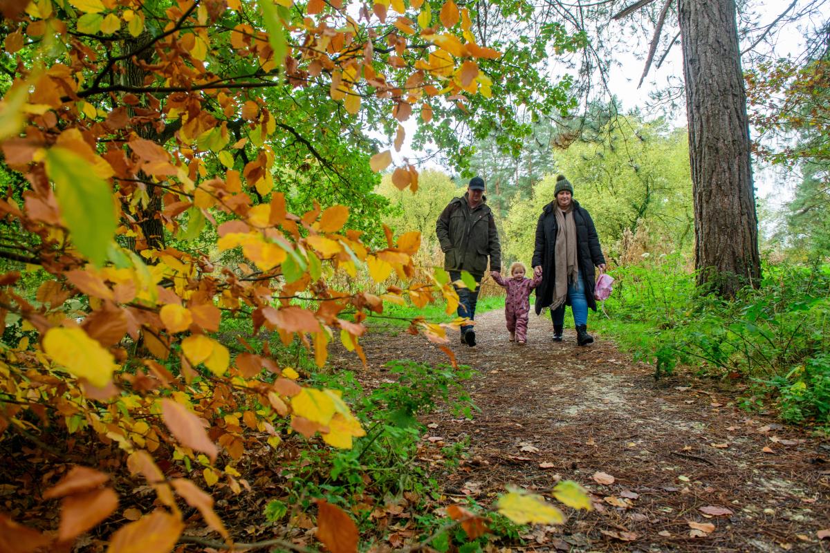 Visit Lincoln | Lincolnshire Limewoods - Fiskerton - Walking trail ...