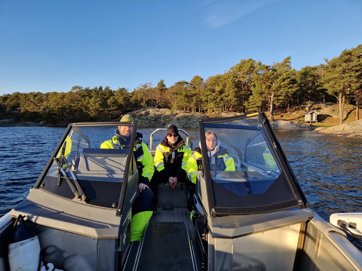 Hunt for the perfect Christmas cod