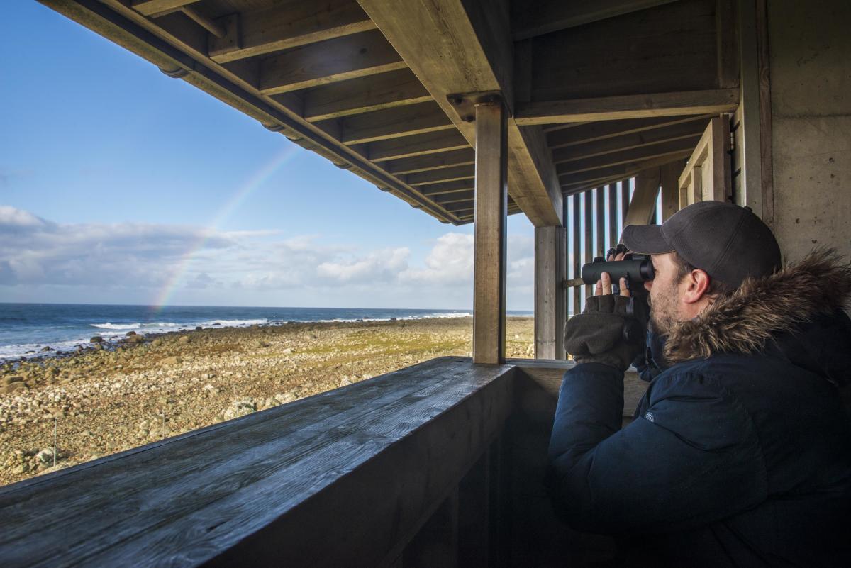 Things To Do in Farsund and Lista | Visit Southern Norway