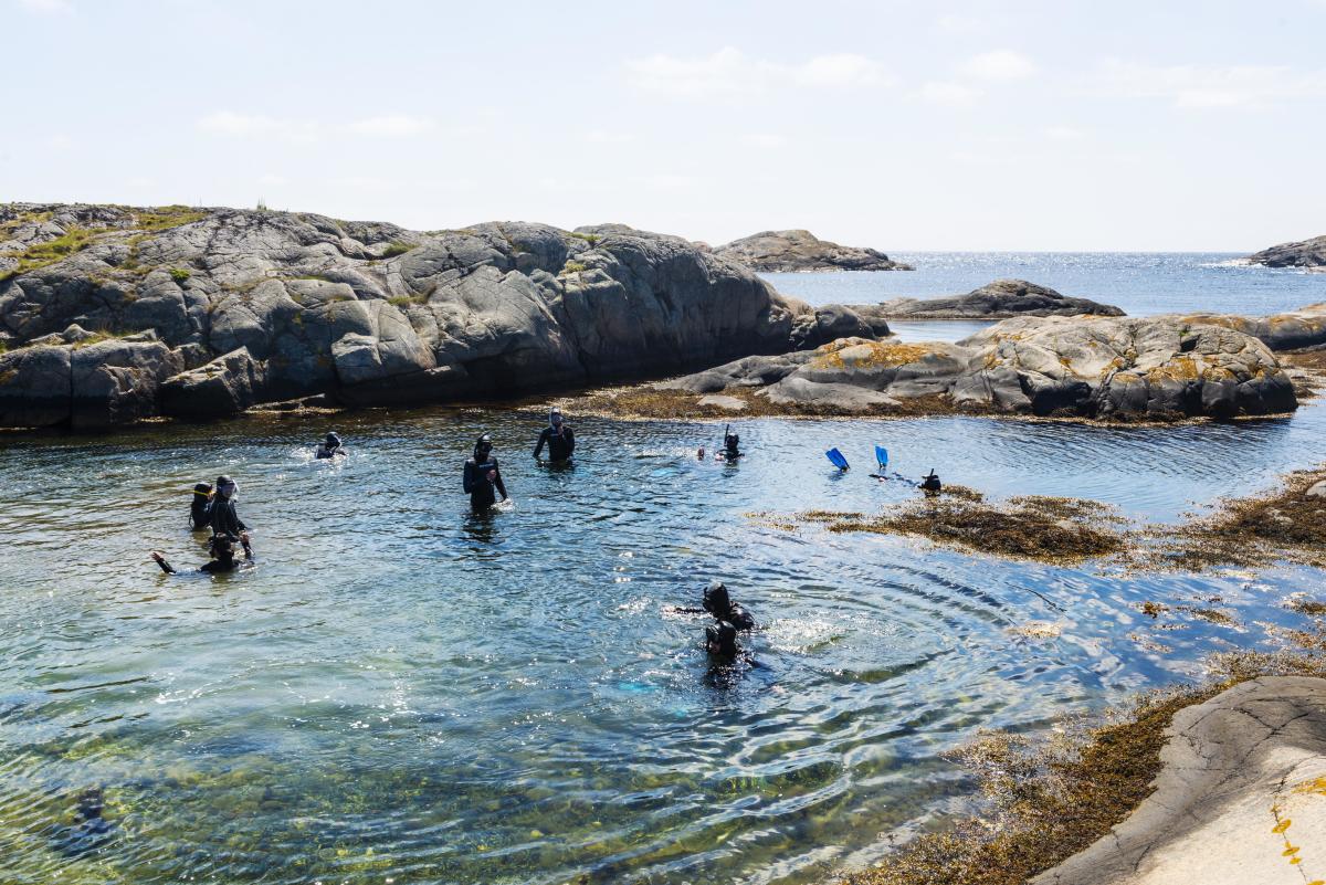 Things To Do in Tvedestrand | Visit Southern Norway