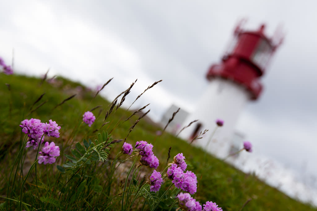 Summer in Mandal and Lindesnes - Visit Sørlandet - Vacation in Norway