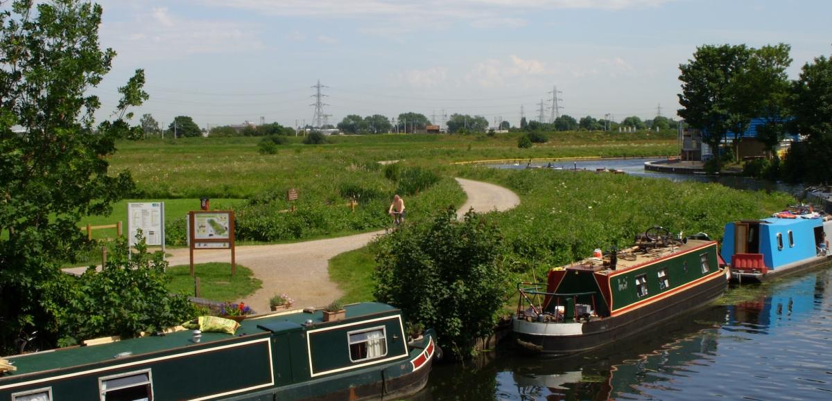 Walthamstow Marshes