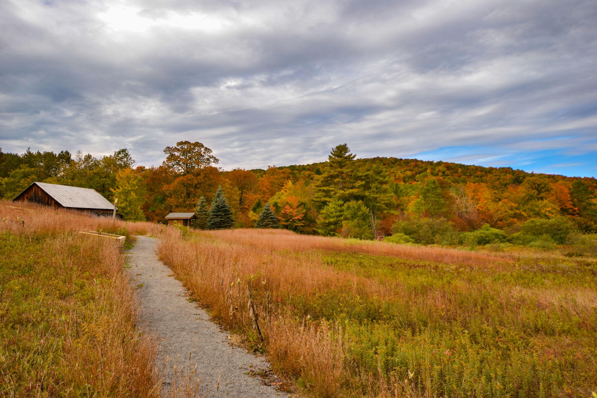 Hiking Highlight - Dean Farm Heritage Trail