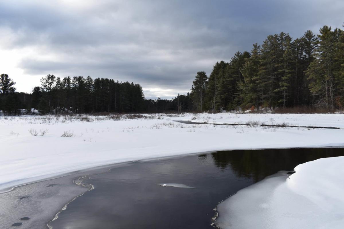 A Winter Walk on the Chester Creek Trails