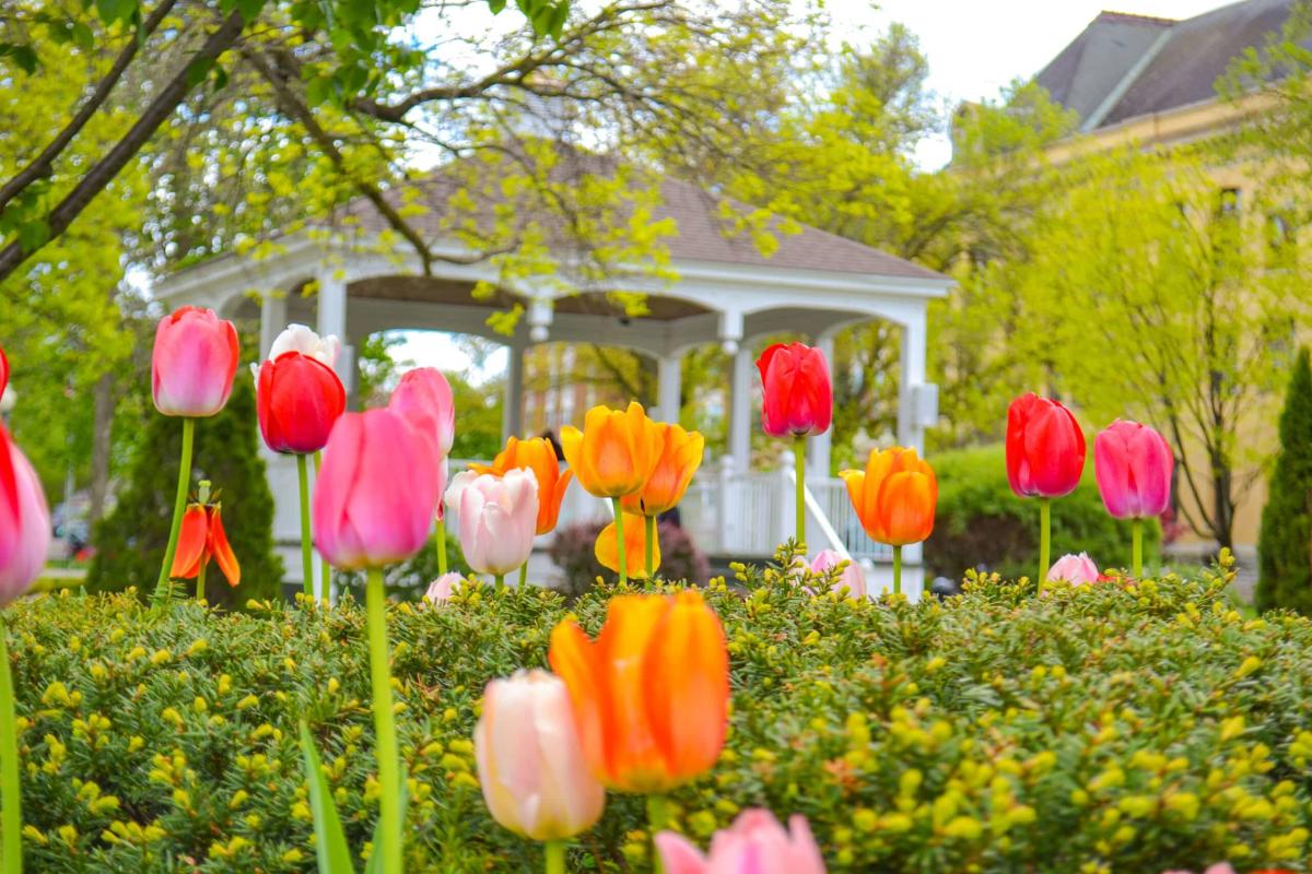 Spring Break in the Lake George Area