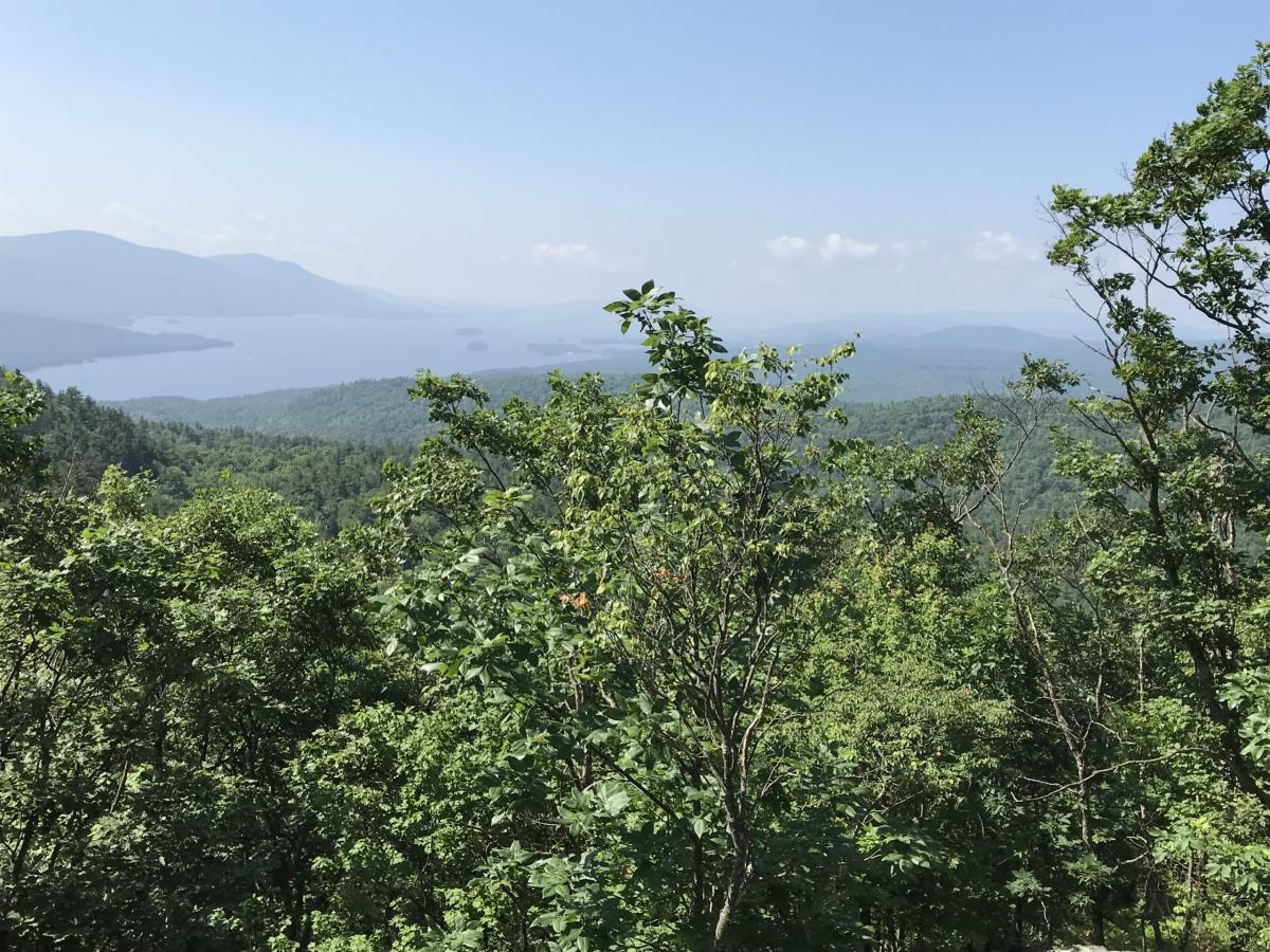 Hiking Highlight - Pole Hill Pond