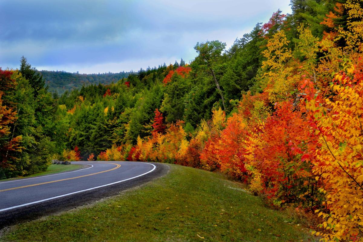 7 Scenic Drives for the Fall Foliage Follower | Visit the Lake George Area