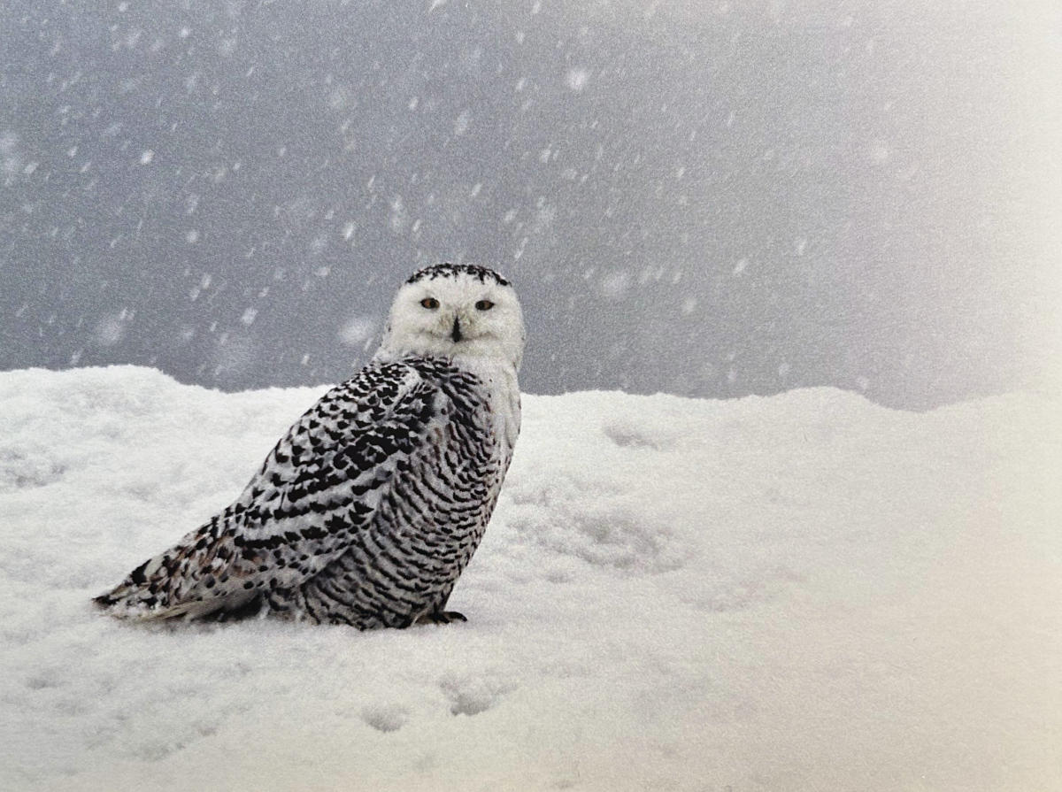 Top Winter Activities in Warwick, RI