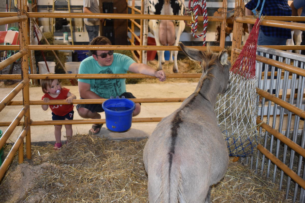 Washburn County Fair