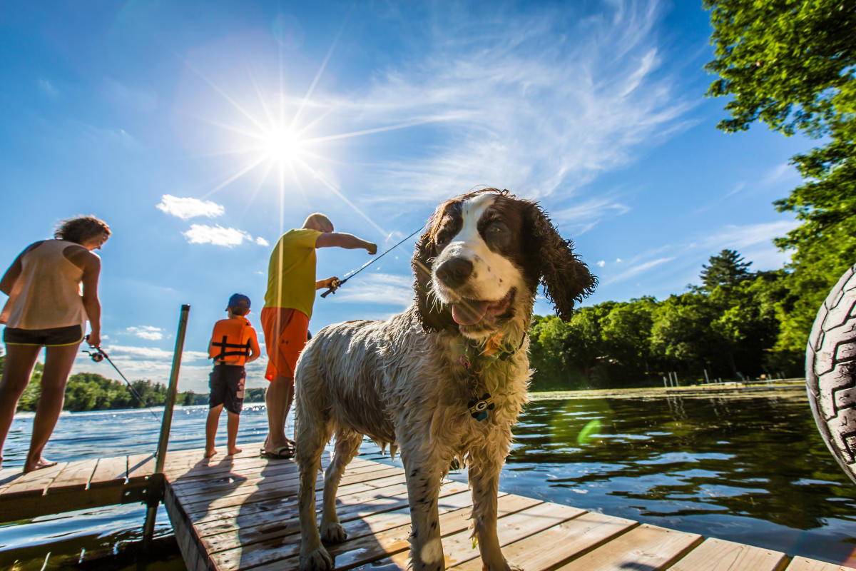 Request Info-Washburn County Tourism-Northwest Wisconsin