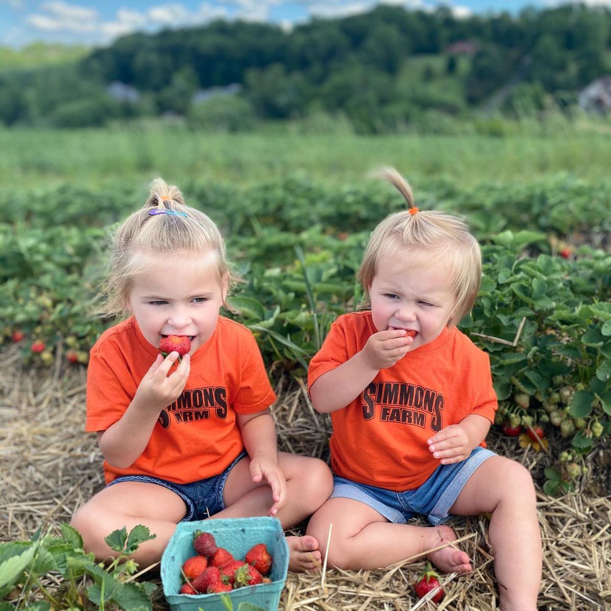 Best U-Pick Farms in Washington County