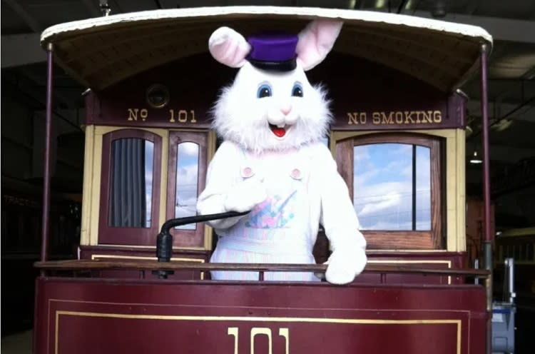 Bunny Spotting - Where to Find the Easter Bunny