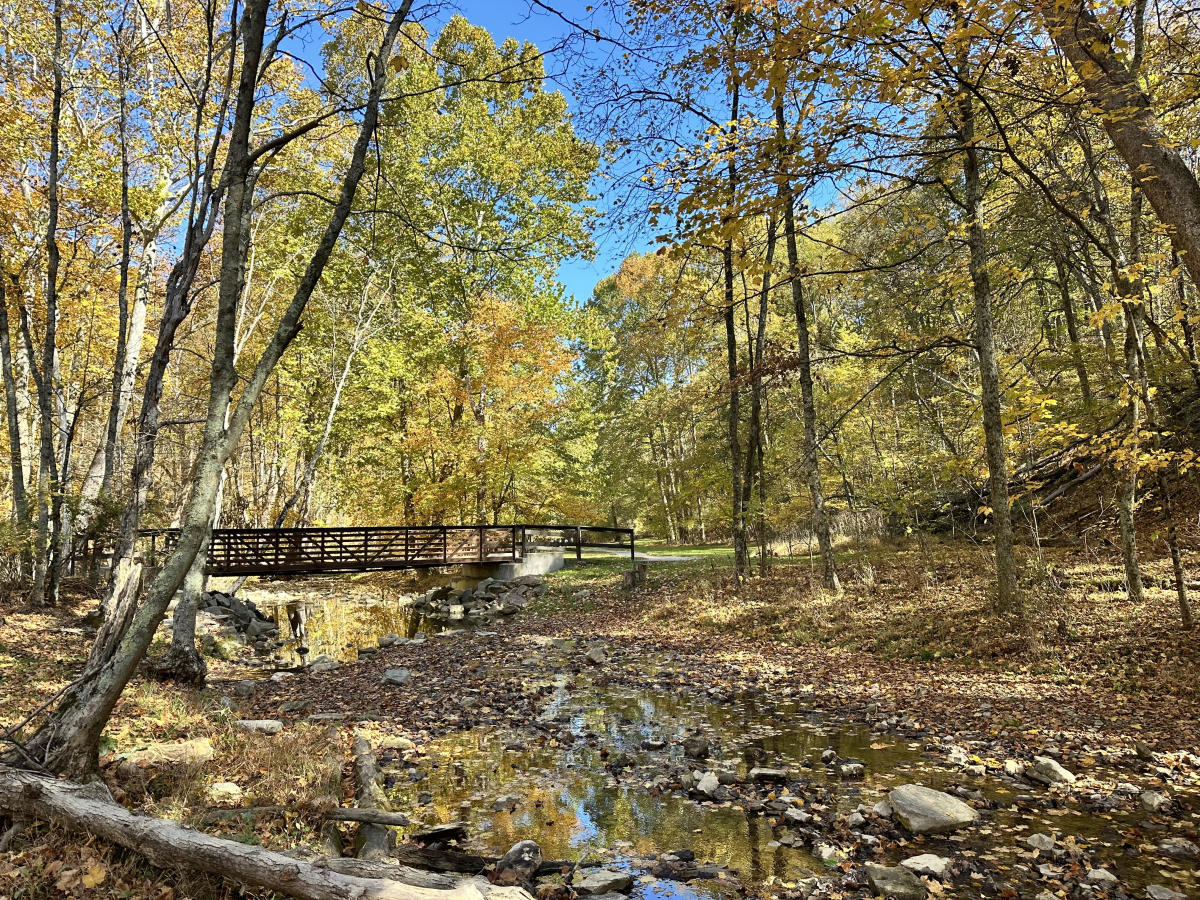 Golden Trails: Scenic Fall Walks & Hikes in WashCo