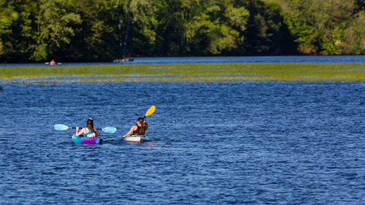 Big Rib and Eau Claire Rivers