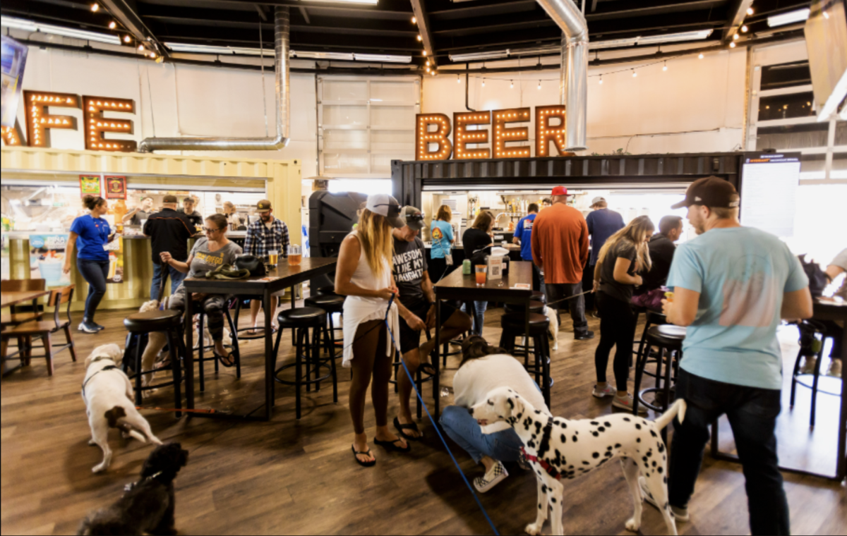 The Best Dog-Friendly Restaurants in San Diego 2026