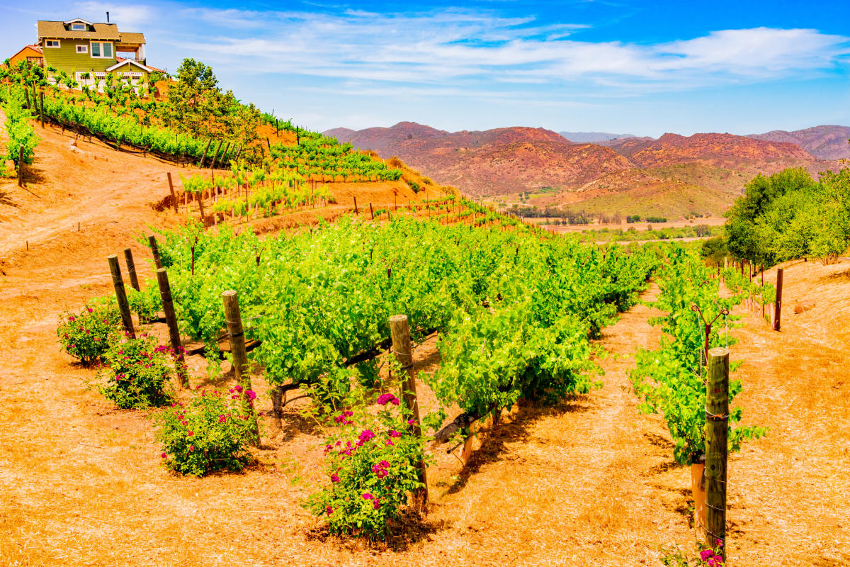 Best wine country trips 60 photos - Cappadociaconcepttour.com