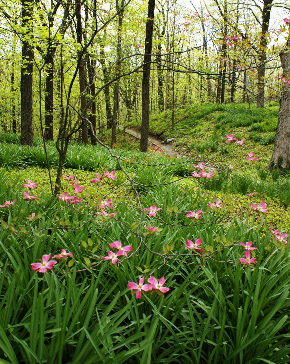 Clegg Memorial Garden in Lafayette-West Lafayette, Indiana