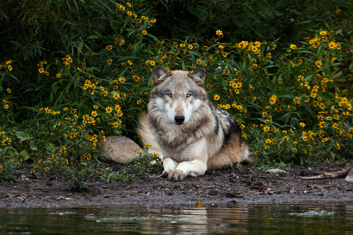 Must See Attractions in Greater Lafayette, Indiana | Lafayette, IN