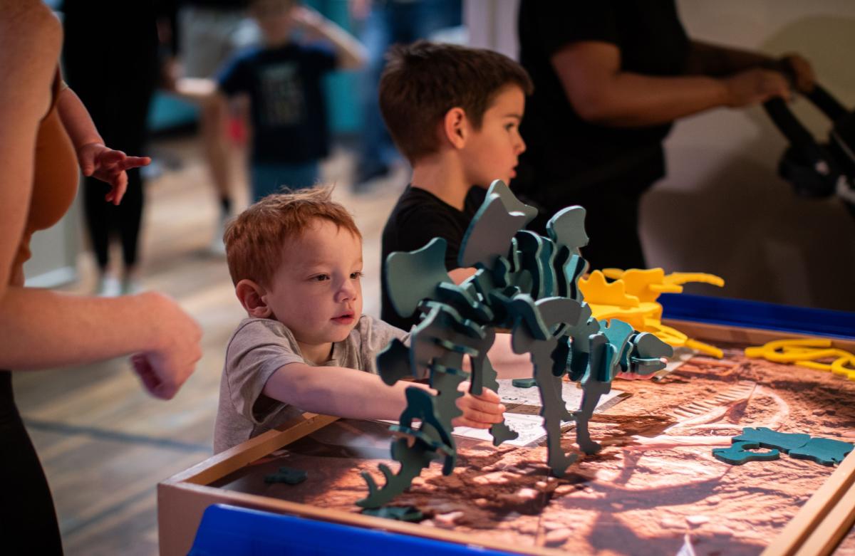 Unearth Ancient History with Paleo Joe at the Muskegon Museum of ...