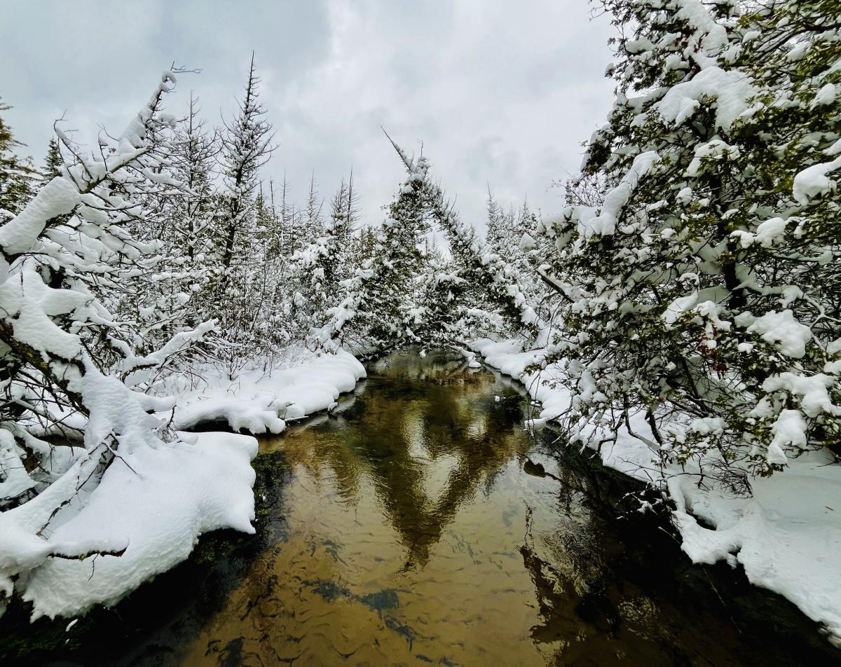 Grass River Natural Area Lantern-Lit Evening Rescheduled and New Events