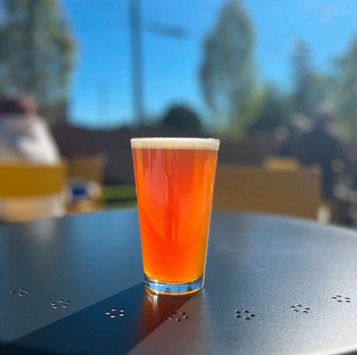Michigan Brewers Guild Announces 2025 Board of Directors