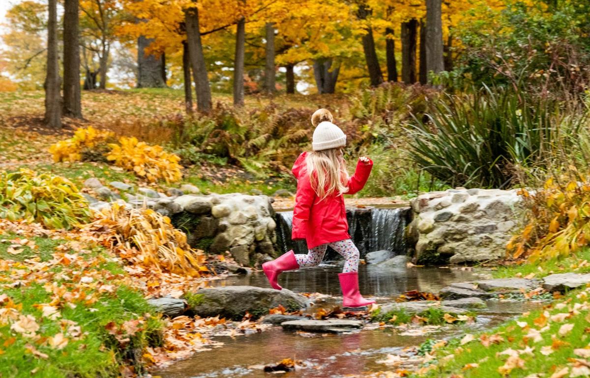 Celebrate the Harvest in West Michigan | Fall Festivals & Local Flavor