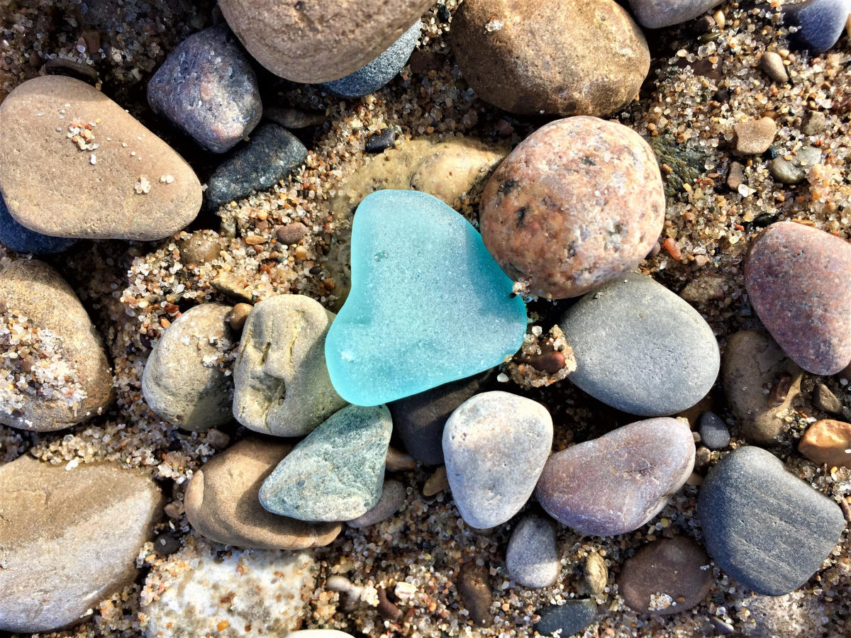 Things to Do, Places to Go - COSY Radio 8/23/2024