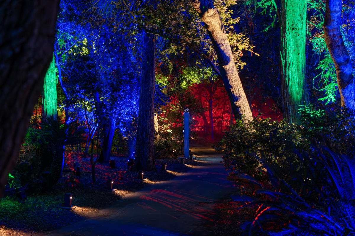 Enlighten Holiday Light Spectacle To Put West Michigan In The Global ...