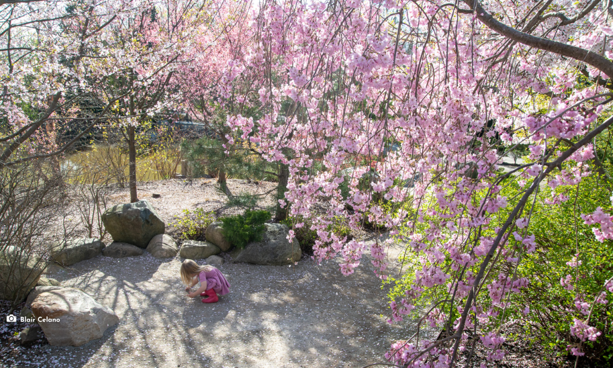 Don’t Miss These Spring Events Across Southwest Michigan | West ...