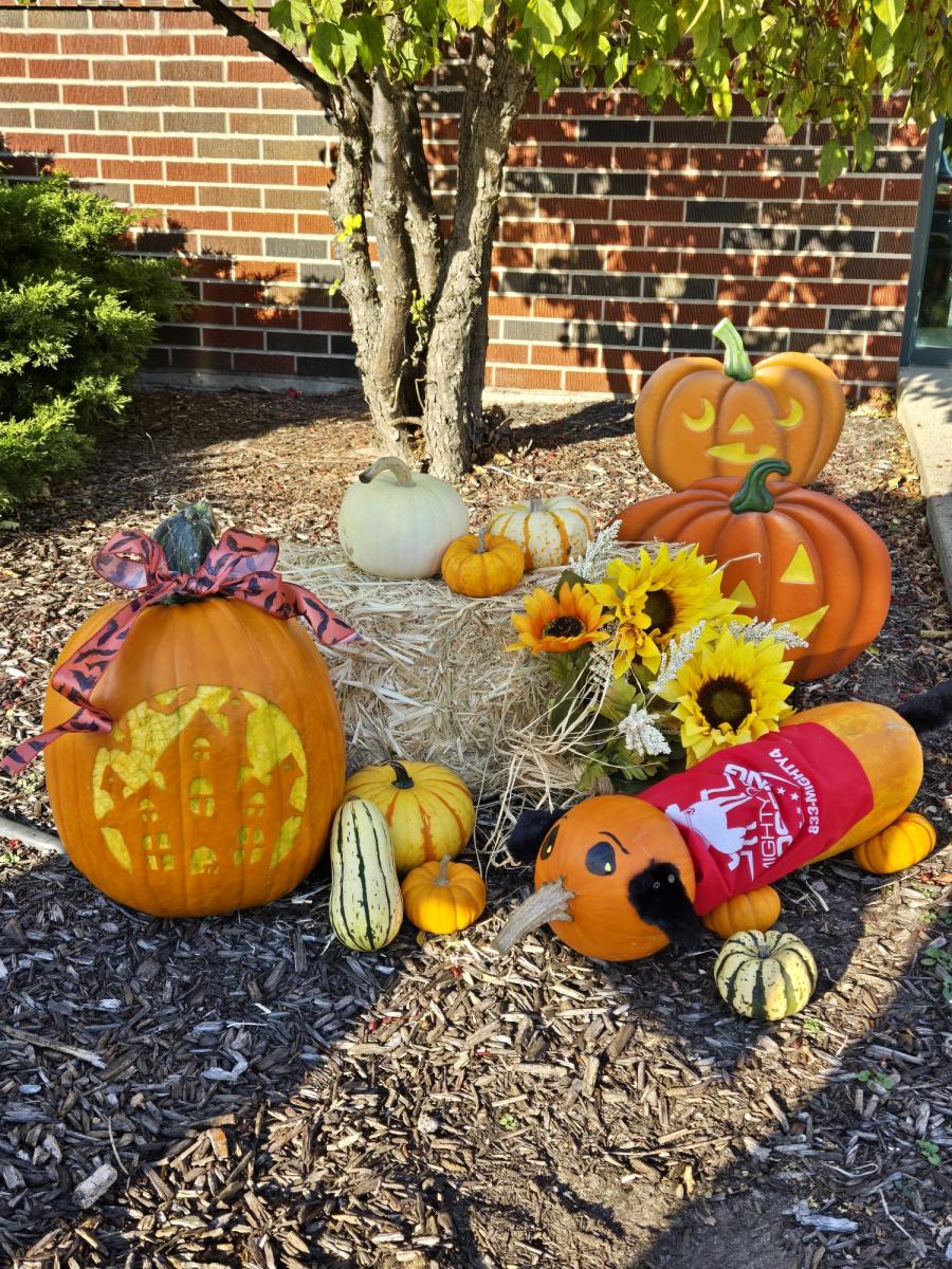Halloween Festivities Throughout the Month of October