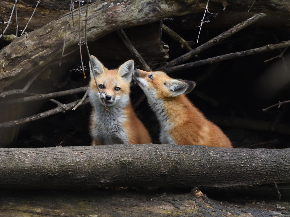 Behind the Mitten | West Michigan Tourist Association