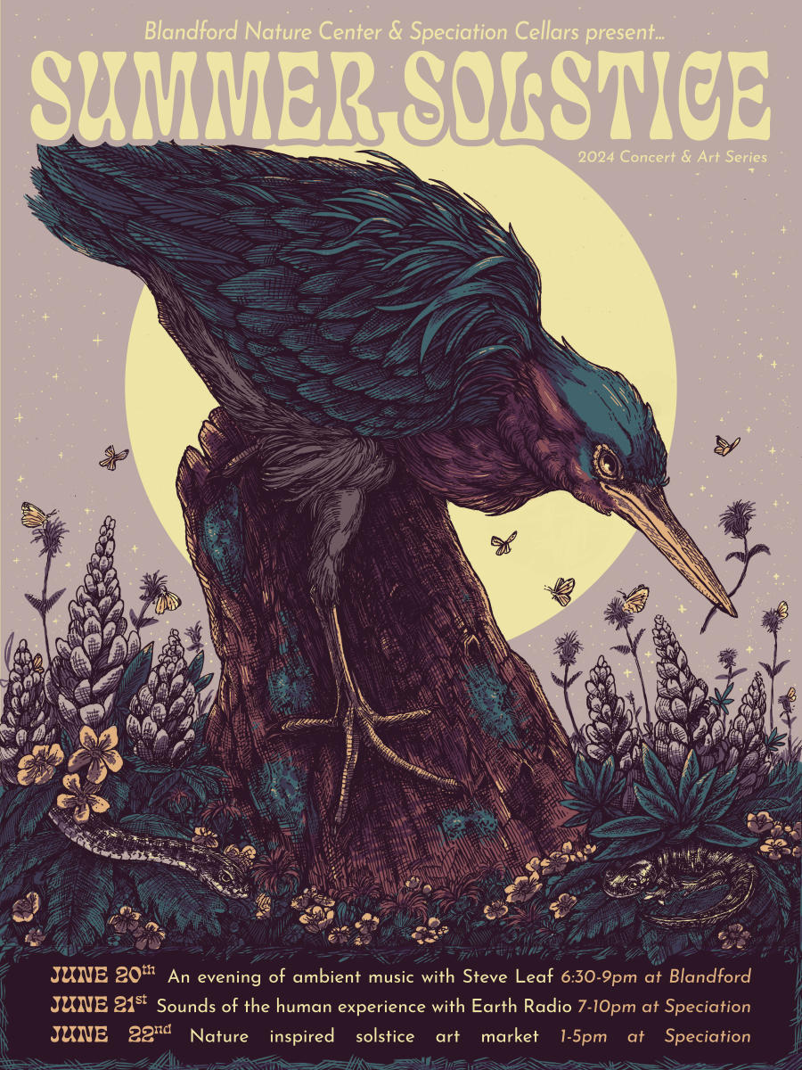 Summer Solstice Concert at Blandford Nature Center