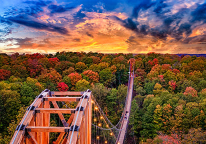 SkyBridge Michigan: Walk Among the Colors This Fall