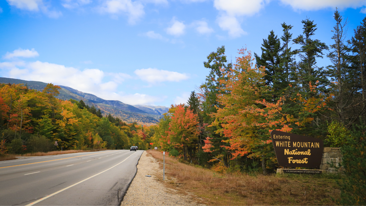 Columbus Day Weekend Events And Deals In The White Mountains NH