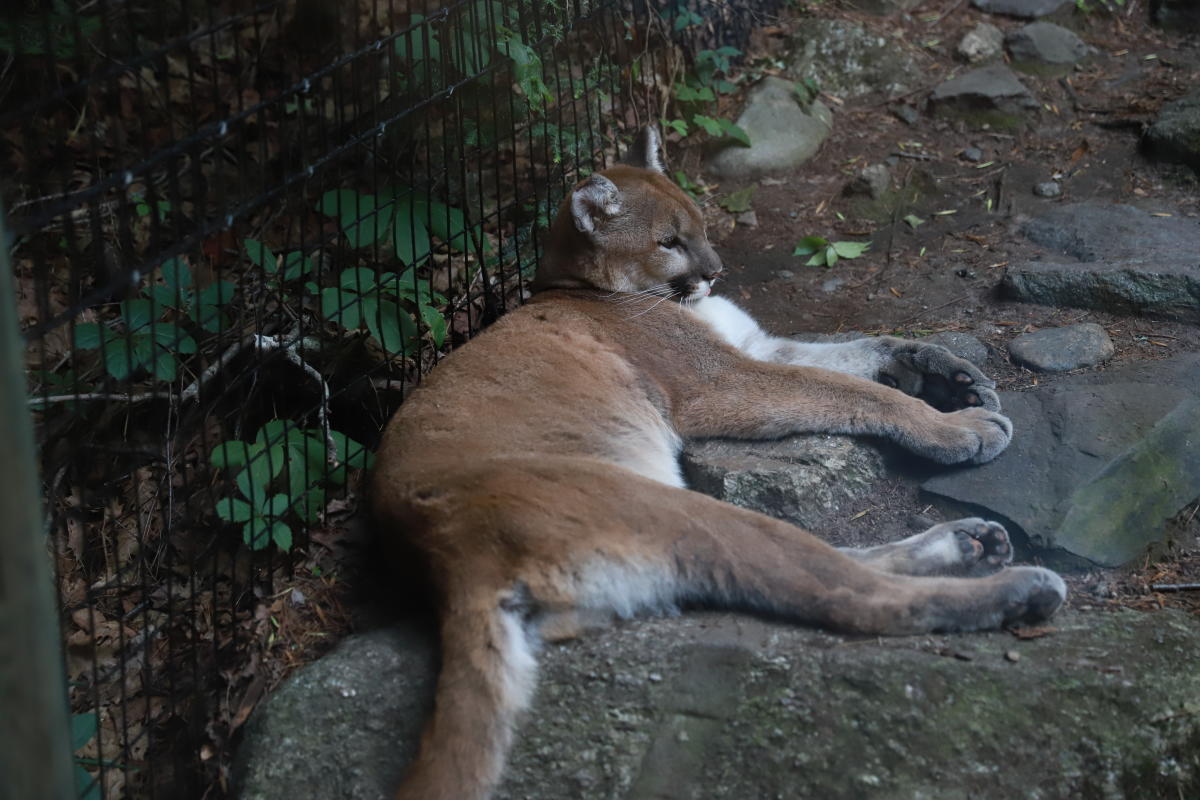Squam Lakes Natural Science Center in NH | Visit WM