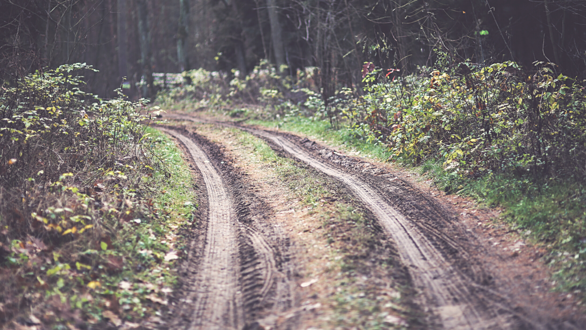 What to Do During Mud Season in the White Mountains